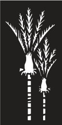 Strol - Decorative Screens - Nikau SmartScreen