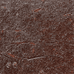 Strol - Decorative Screens - SmartScreen for Home & Garden