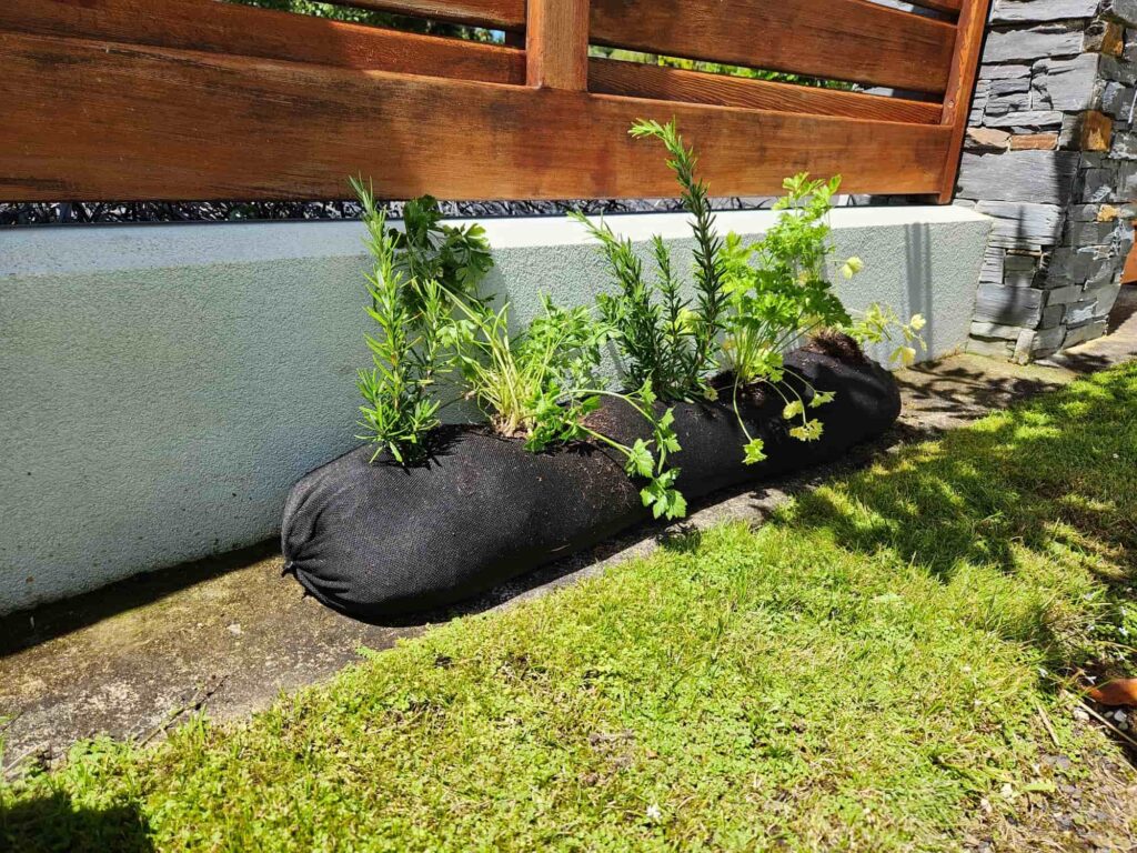 The Guide to Gardening Seedlings: Tips and Tricks - Strol